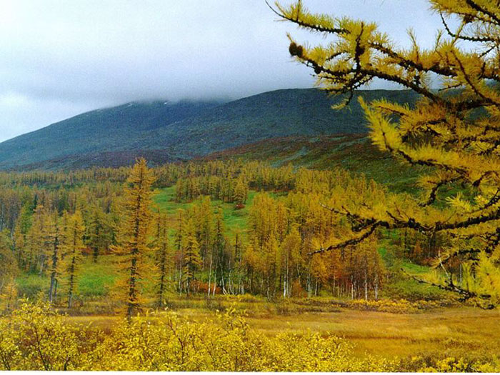 Mountain photos. Climbing, iceclimbing, mountain hiking, adventure, ski ...